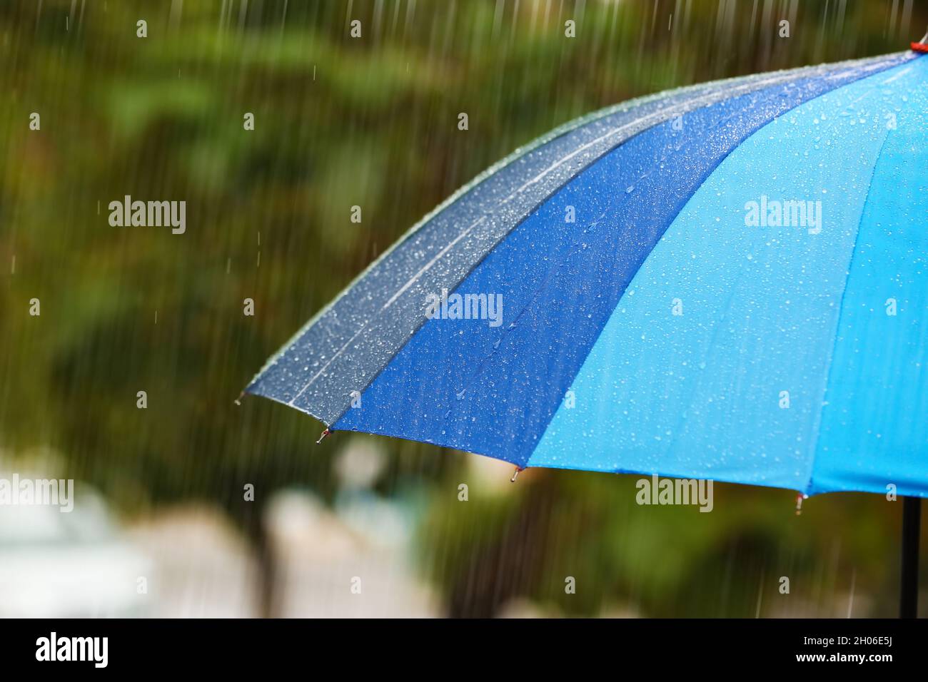 Bright umbrella under rain on street, closeup Stock Photo - Alamy