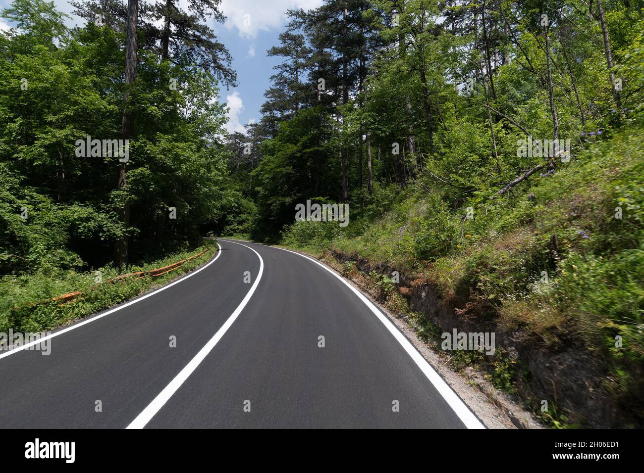 Asphalt road in forest hi-res stock photography and images - Alamy
