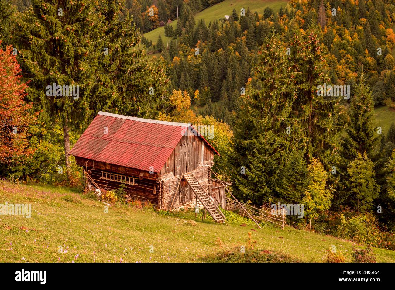 Rural autumn landscape hi-res stock photography and images - Alamy