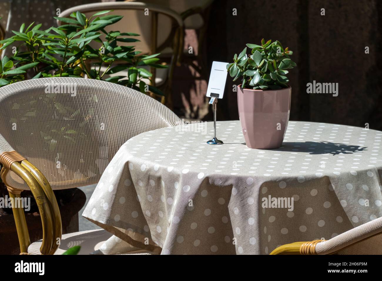 Qr code menu hi-res stock photography and images - Alamy