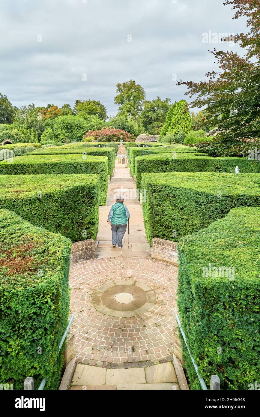 A visitor on the hedge lined path to Neptune's Grotto in the garden of ...
