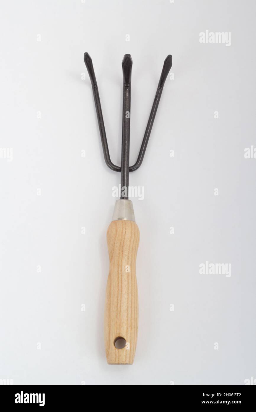 Small rake with wooden handle, gardening tool isolated on white ...
