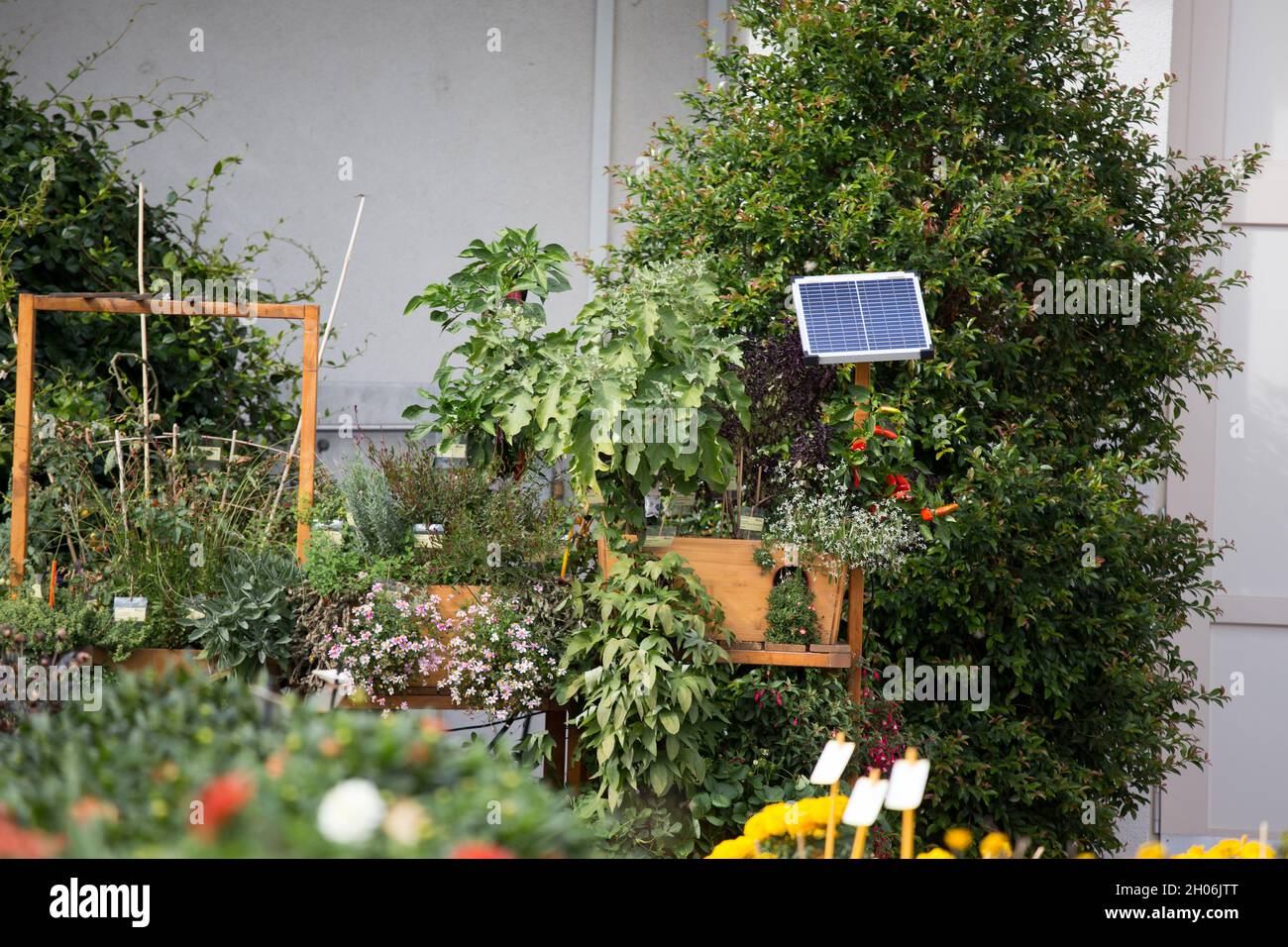 Courtyardmhome hi-res stock photography and images - Alamy