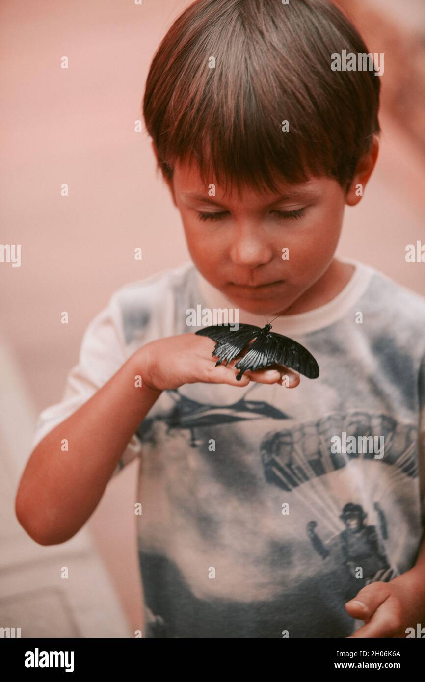 Kid playing with a such beautiful butterfly. Be careful it's so fragile ...
