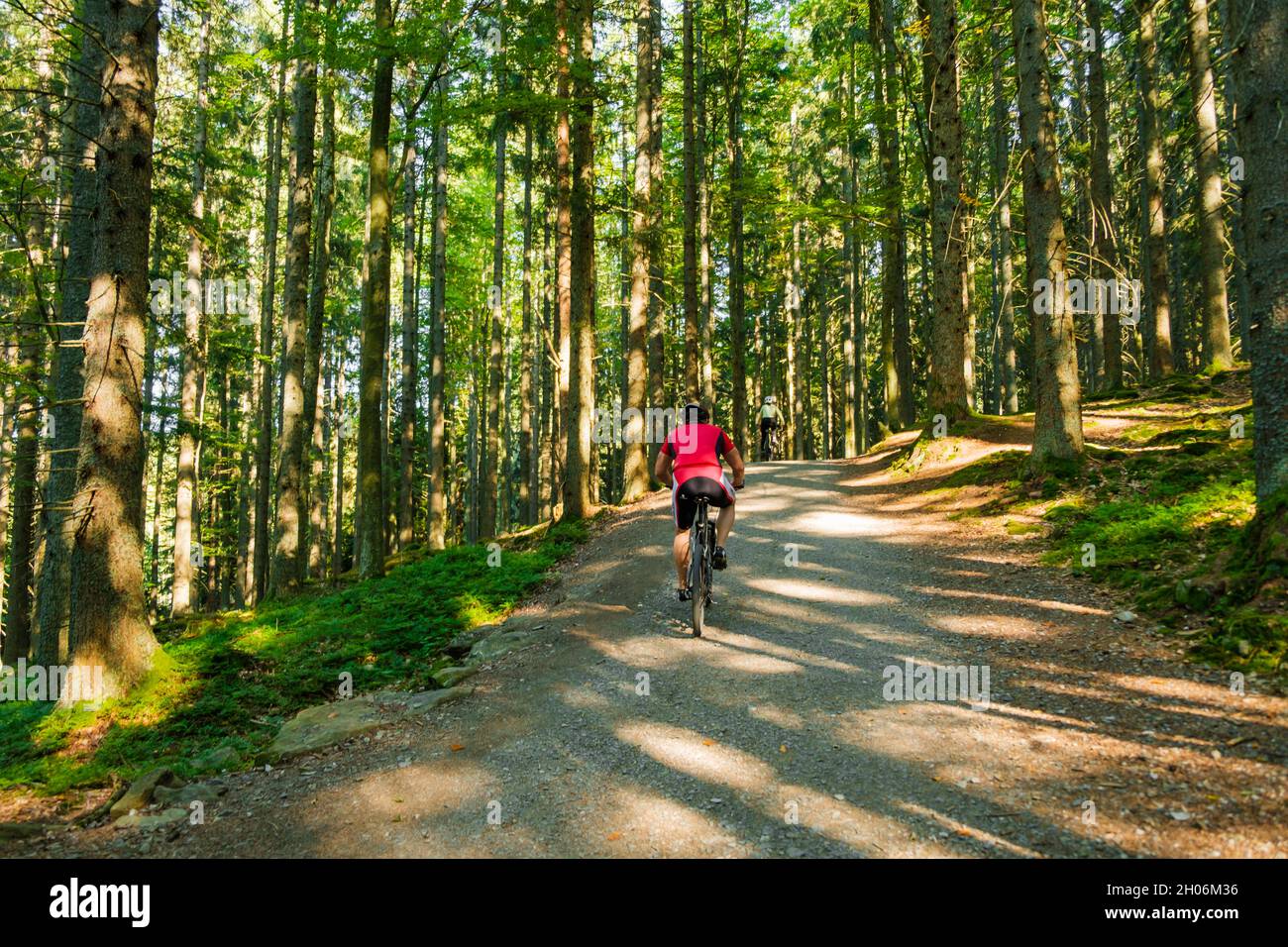 Cyclist rides along forest road hi-res stock photography and images - Alamy