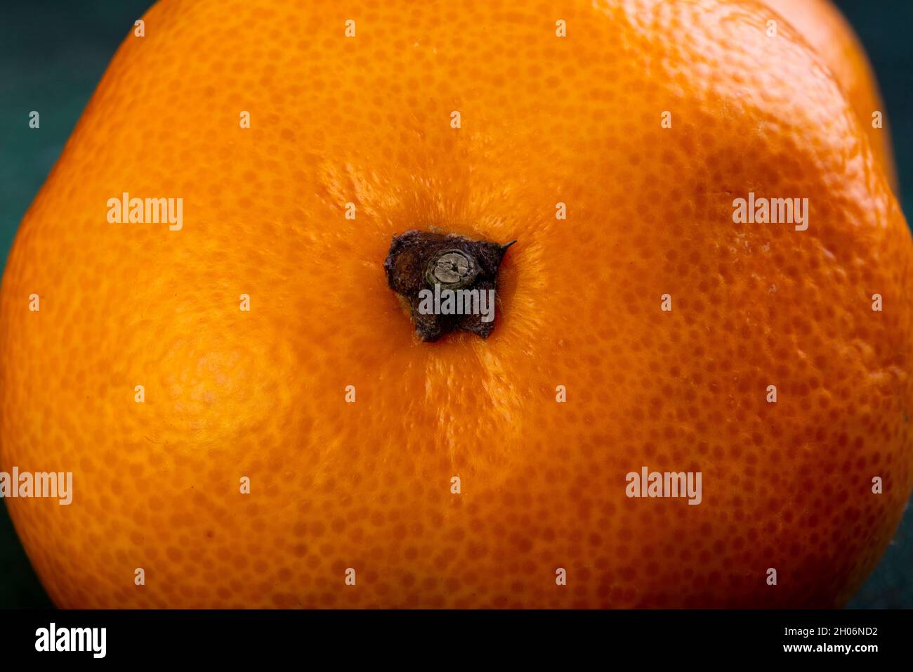 close-up front view mandarin on a green background Stock Photo - Alamy