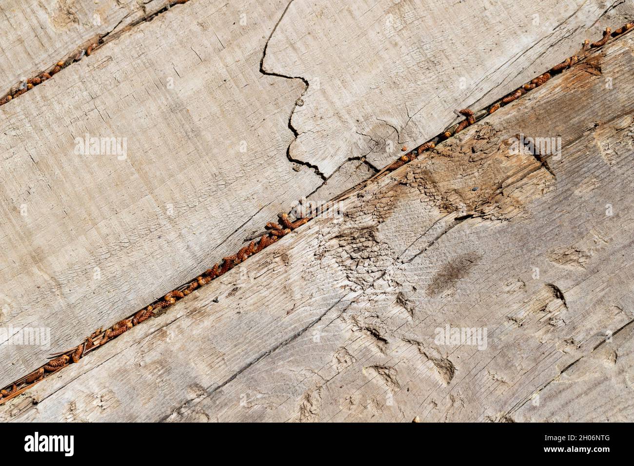 Close up wood texture background Stock Photo - Alamy