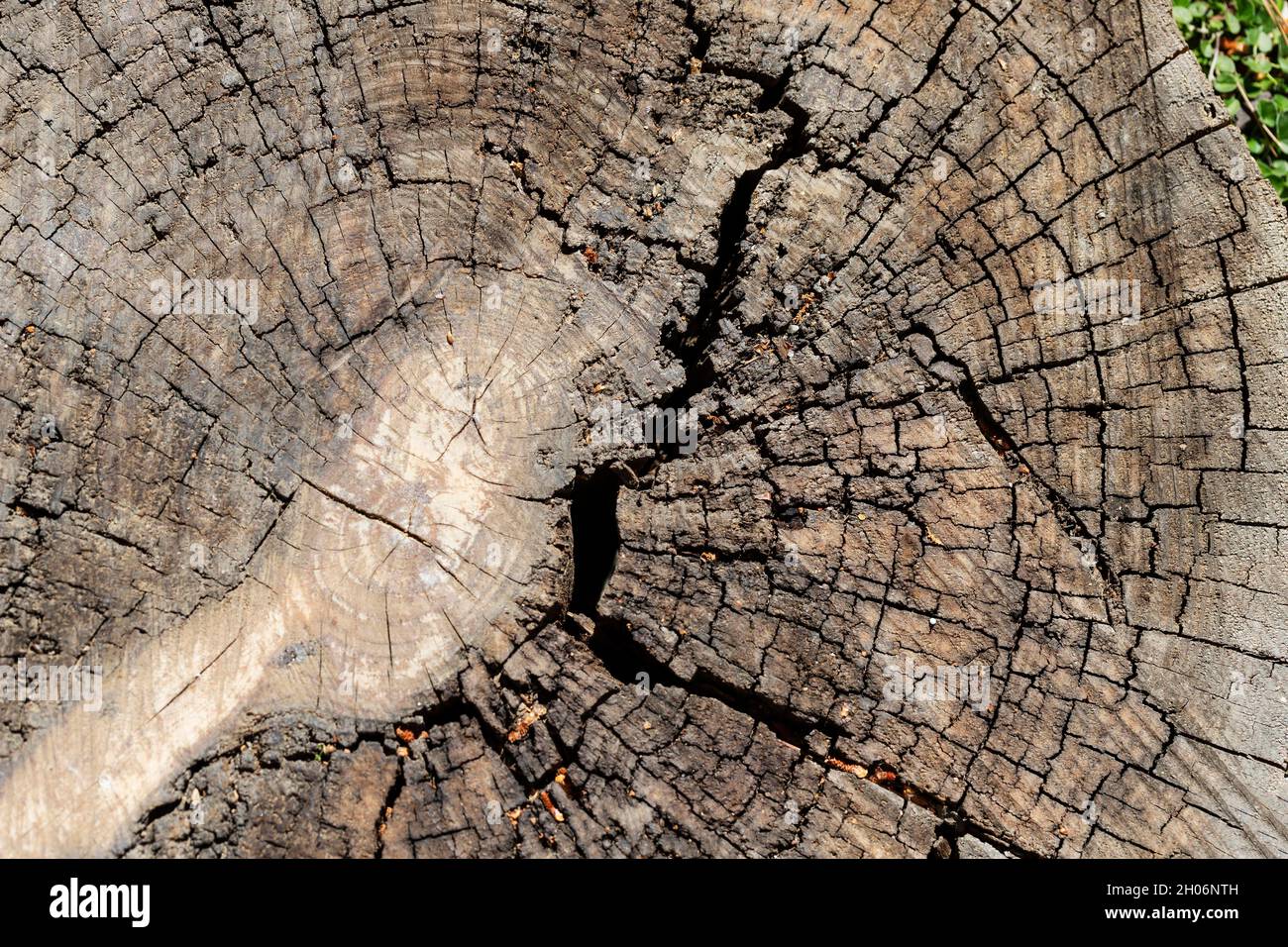 Close up wood texture background Stock Photo - Alamy