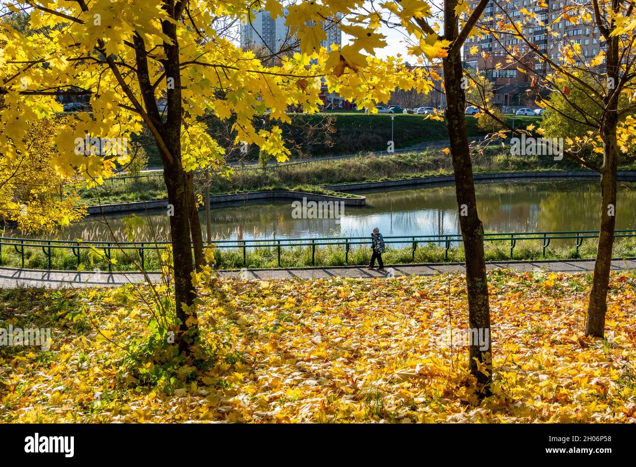 People walk in the autumn park in Moscow, Russia Stock Photo - Alamy