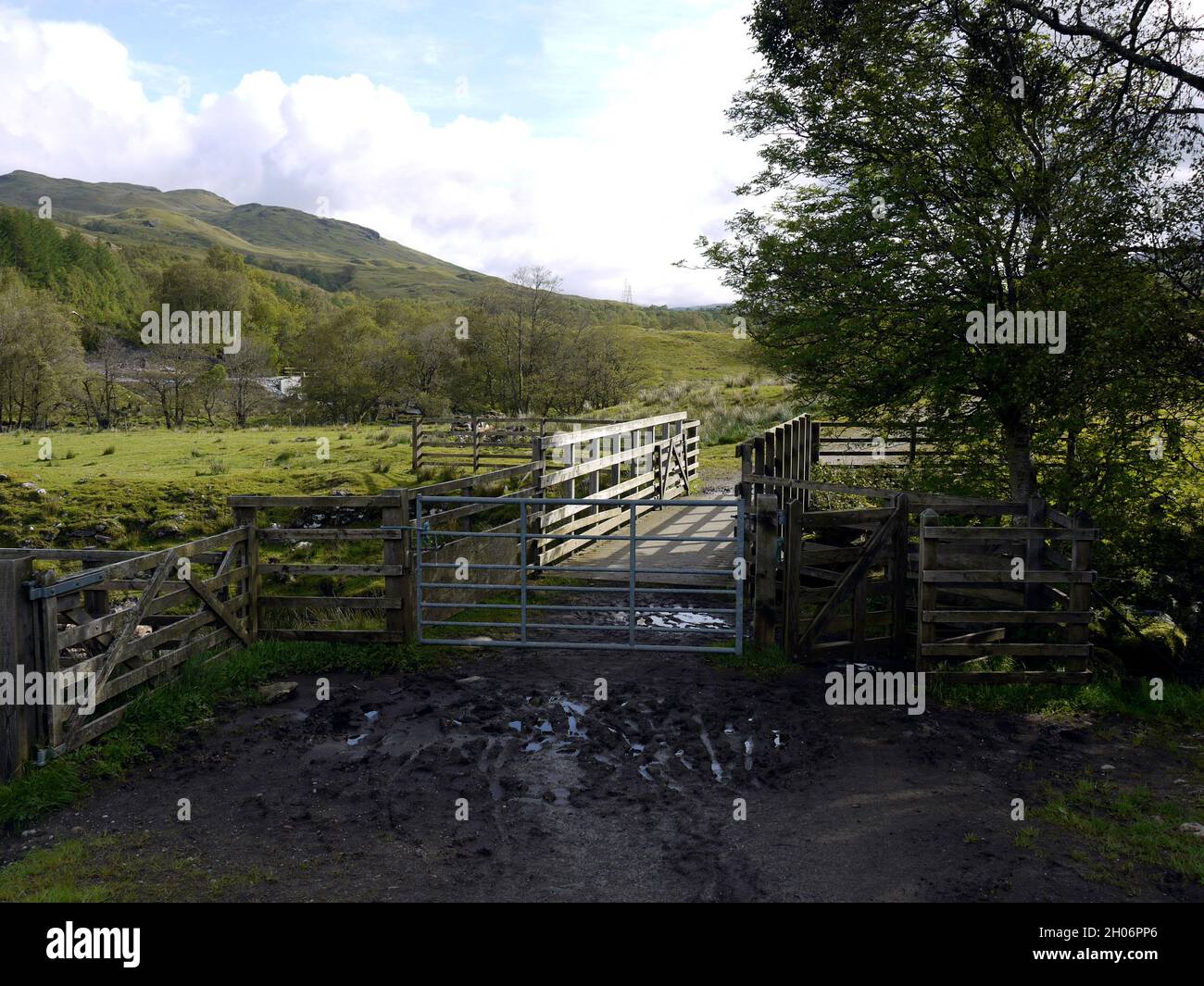 Gates and little wooden bridge over the muddy West Highland Way ...