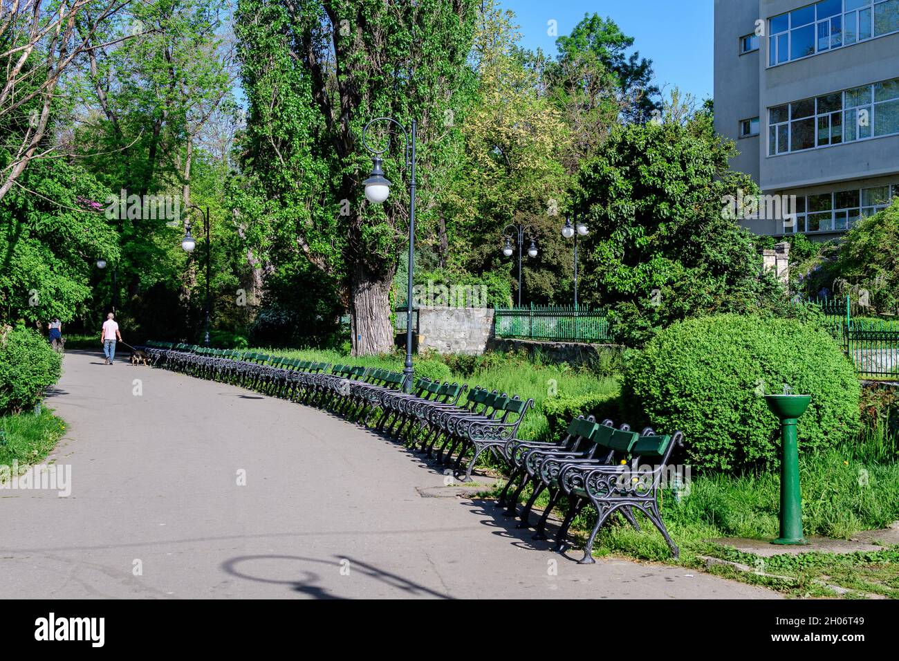 Grey alley and many green chairs surrounded by vivid green and yellow ...