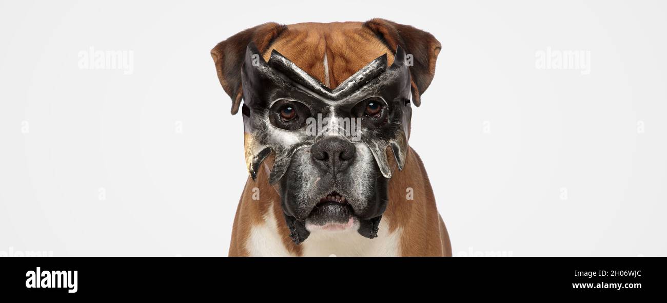 Hiding behind a mask hi-res stock photography and images - Alamy