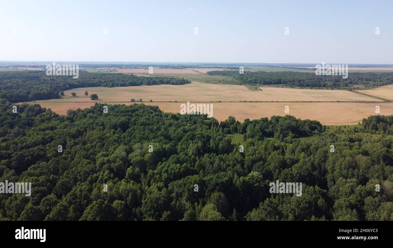 Green deciduous forest next to a farm field. Landscape from a bird's ...
