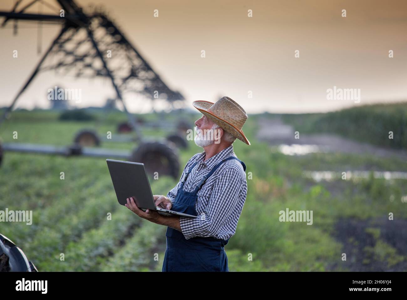 Senior farmer holding laptop and looking at irrigation system in ...