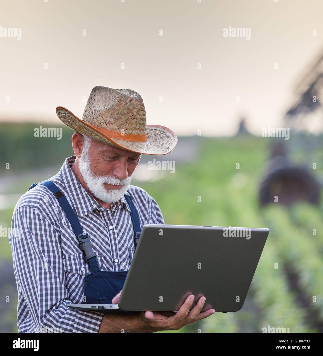 Mature farmer with laptop in soybean field with irrigation system in ...