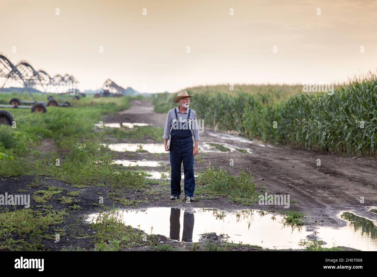 Senior farmer standing in front of puddle and mud in field with ...