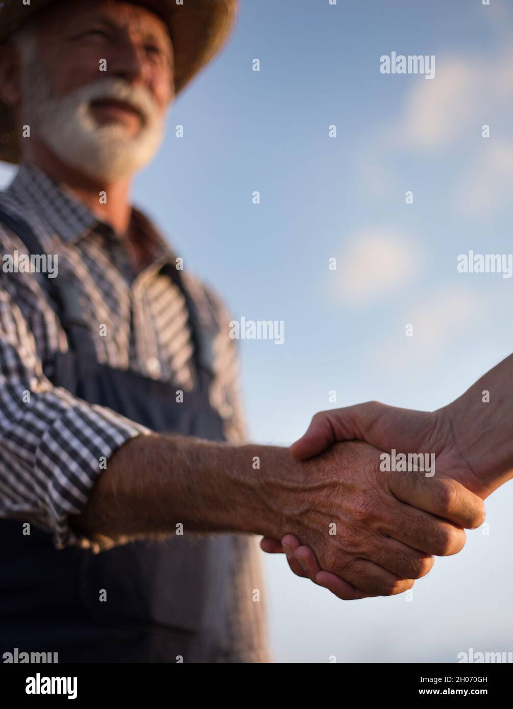Senior farmer field holding crop hands hi-res stock photography and ...