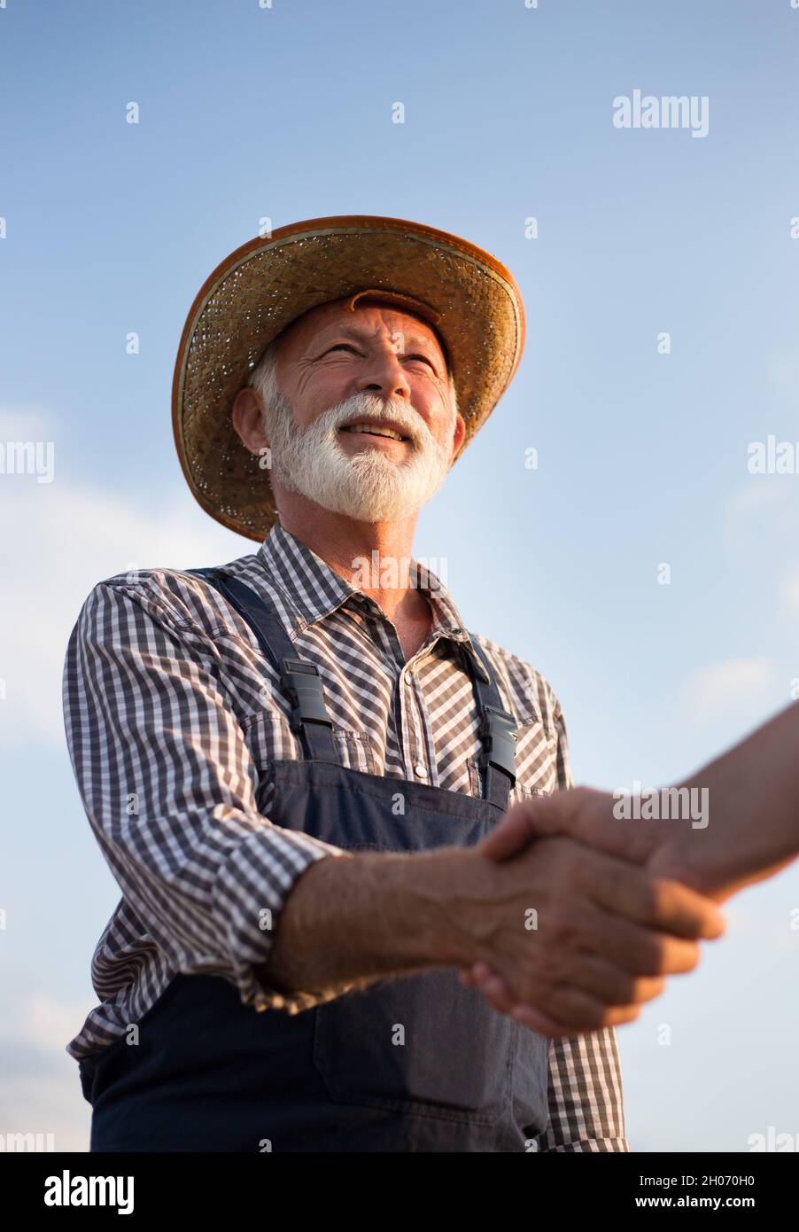 Two farmers shaking hands in field against blue sky Stock Photo - Alamy