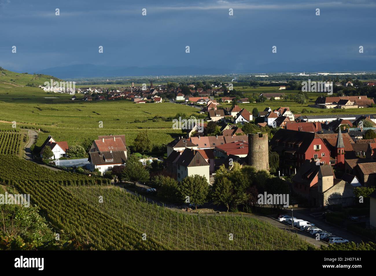 The Alsace landscape from Kaysersberg looking towards Sigolsheim Stock ...