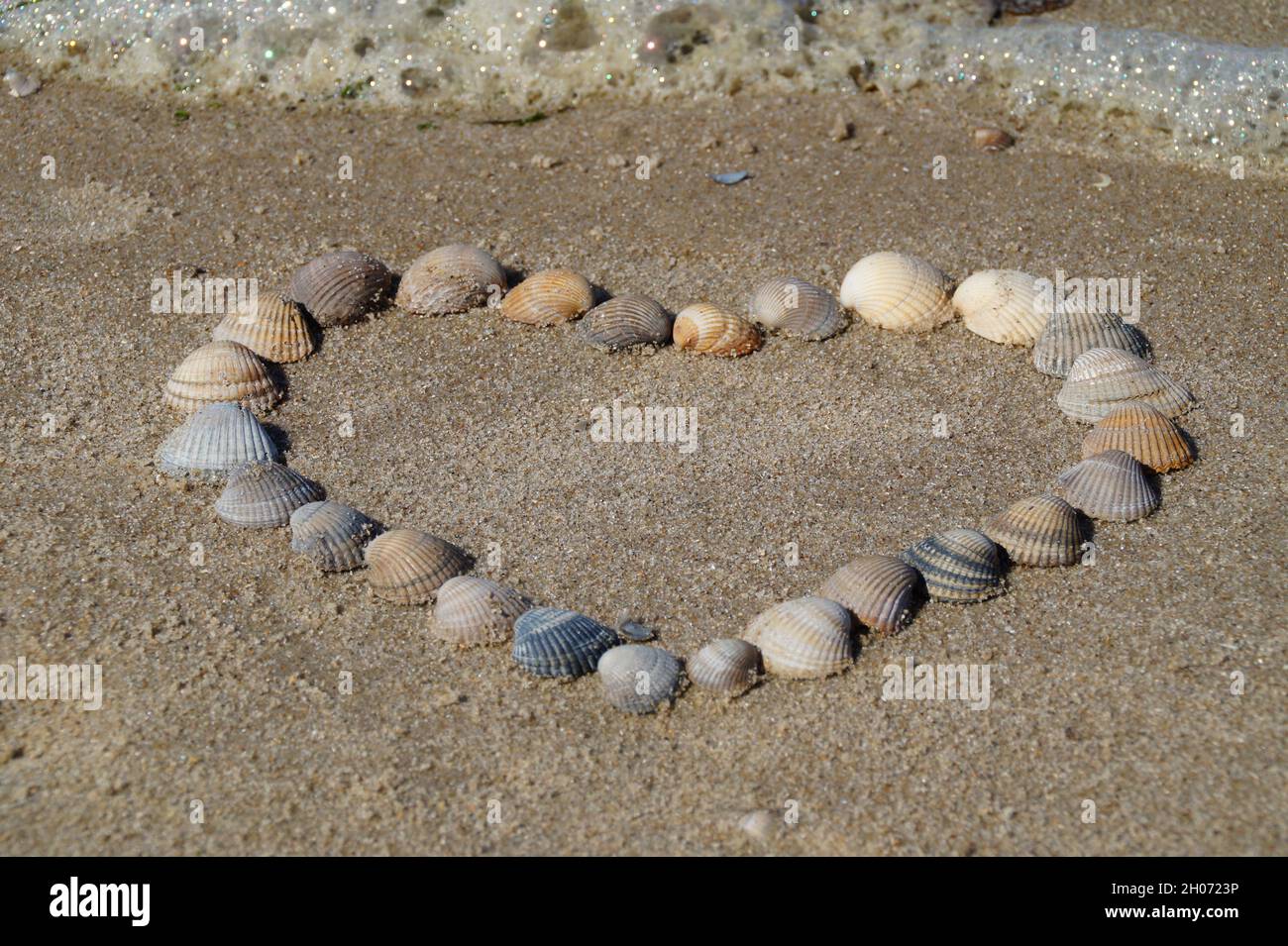 Heart made shells on beach hi-res stock photography and images - Alamy
