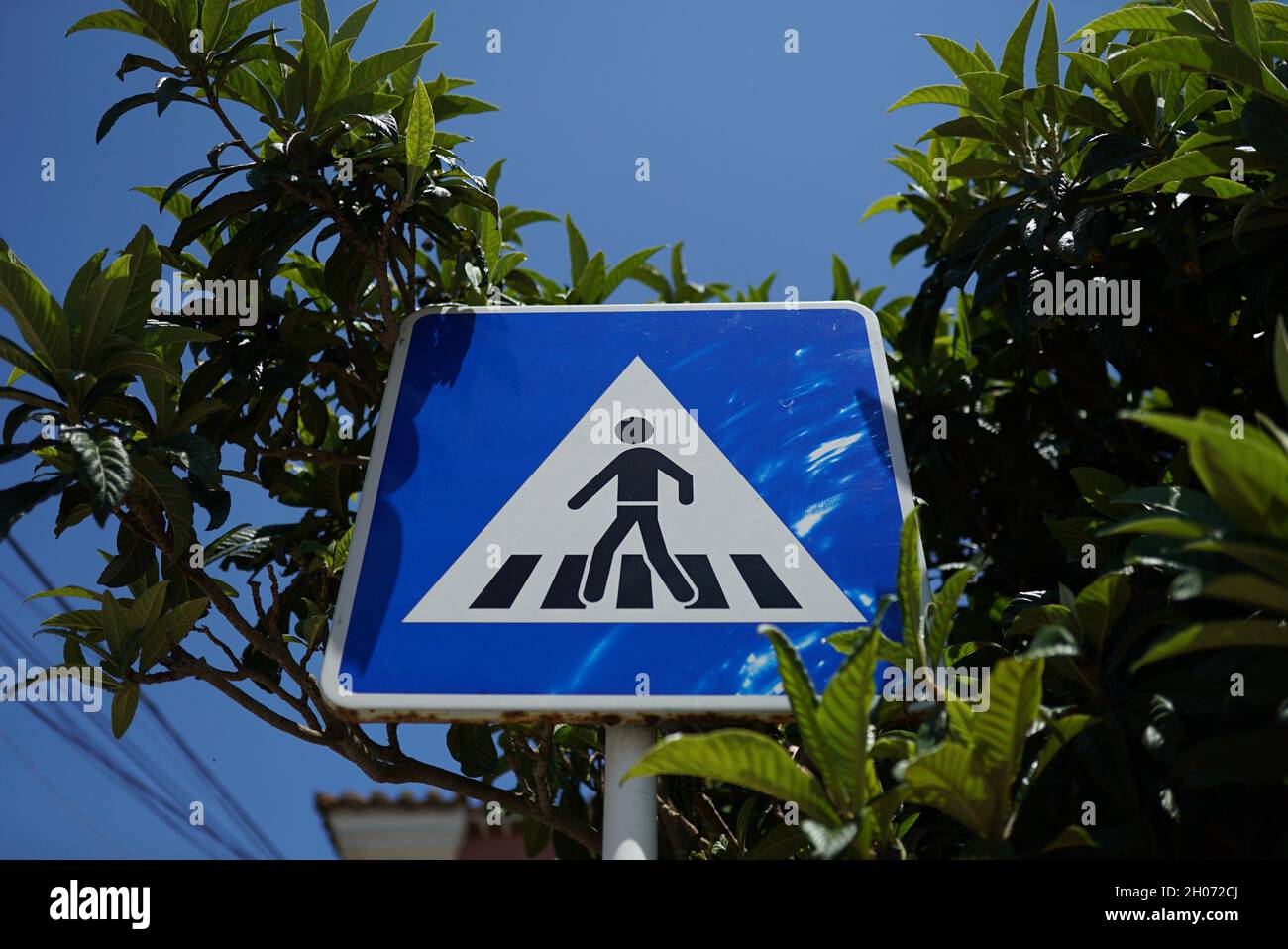 Low angle shot of a pedestrian crossing sign Stock Photo - Alamy