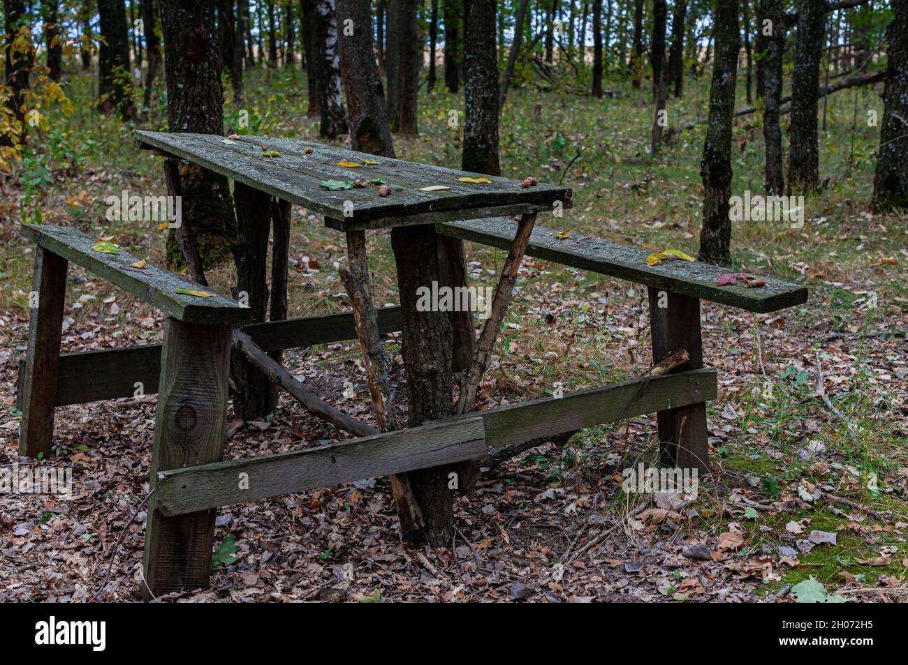 wooden table and benches standing in the forest Stock Photo - Alamy