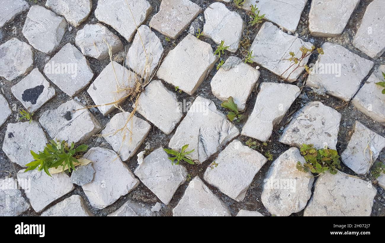 Top view of paving slabs with grass Stock Photo - Alamy