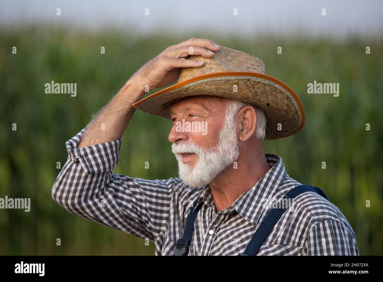 Bavarian Peasant Farmer Hat