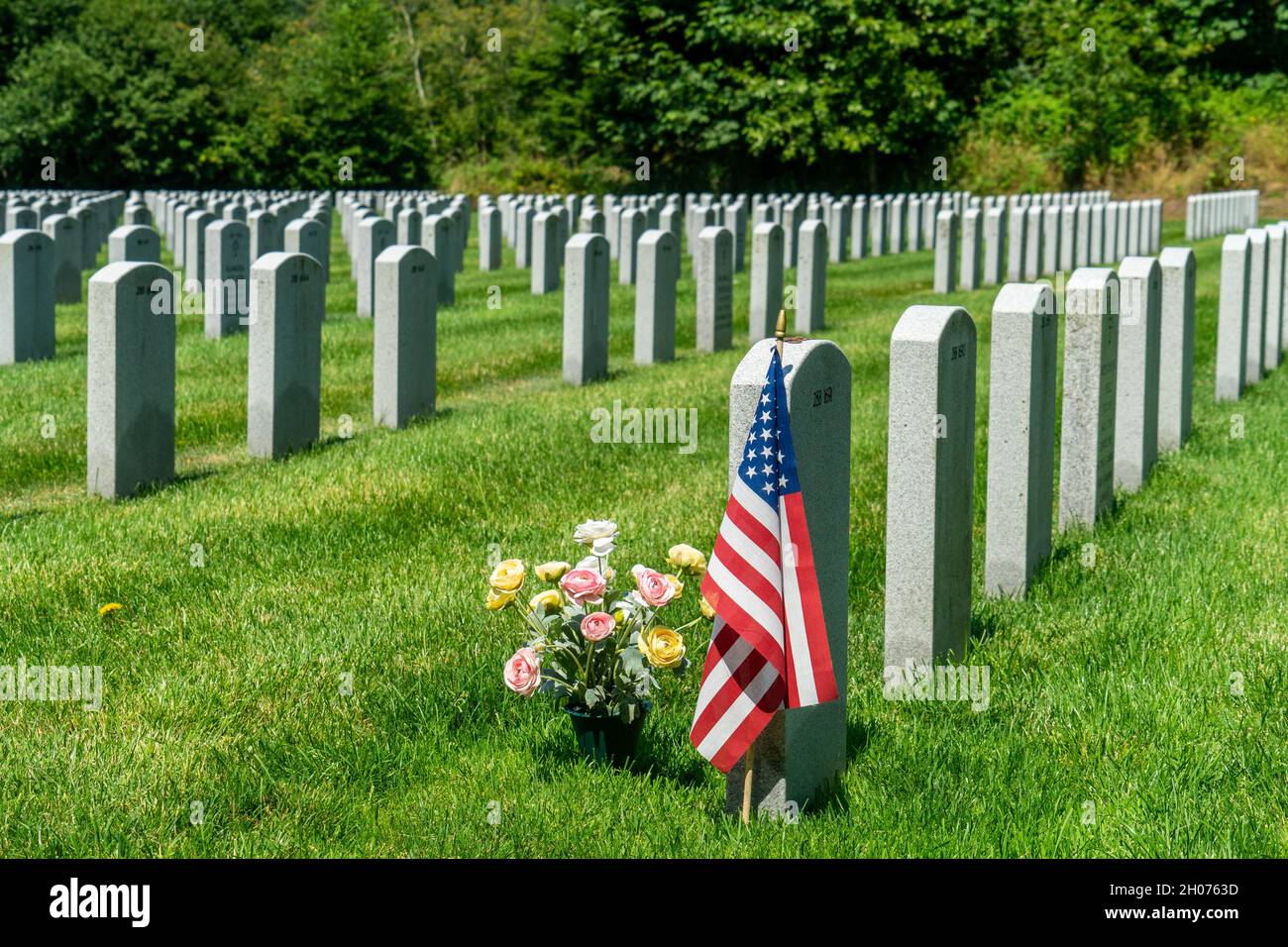 Kent wa hi-res stock photography and images - Alamy