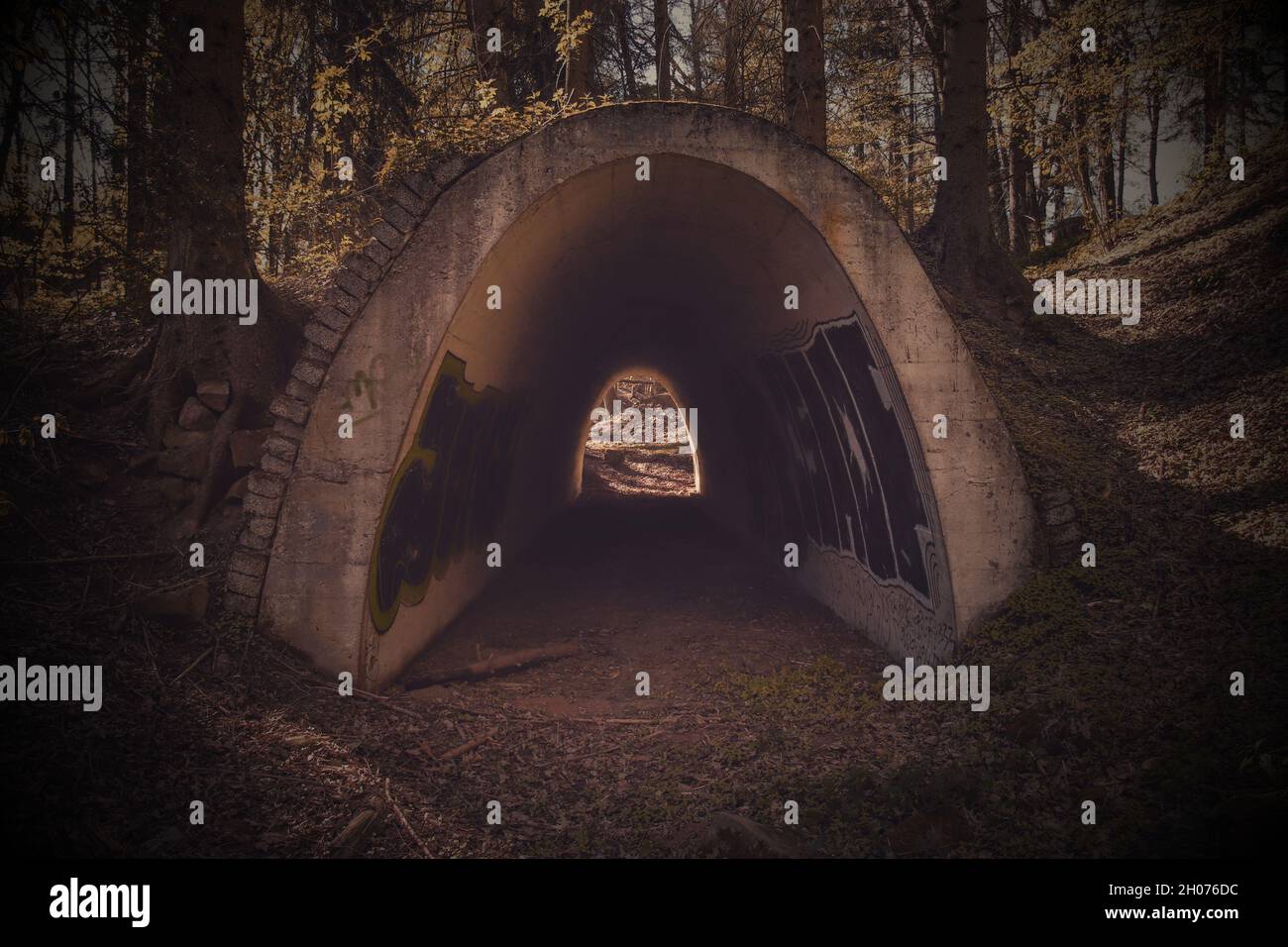 The tunnel ruins of the incomplete project of Hitler's highway in the ...