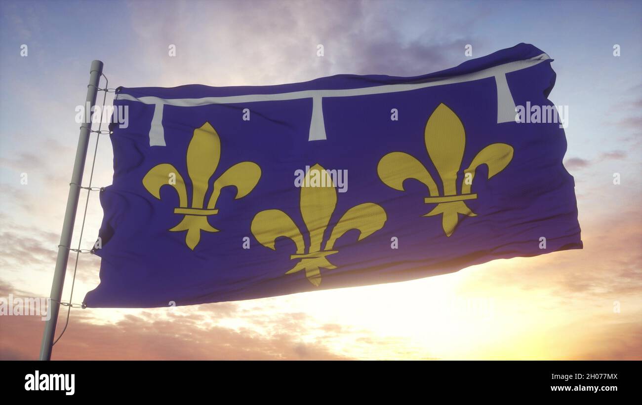 Orleanais flag, France, waving in the wind, sky and sun background. 3d ...