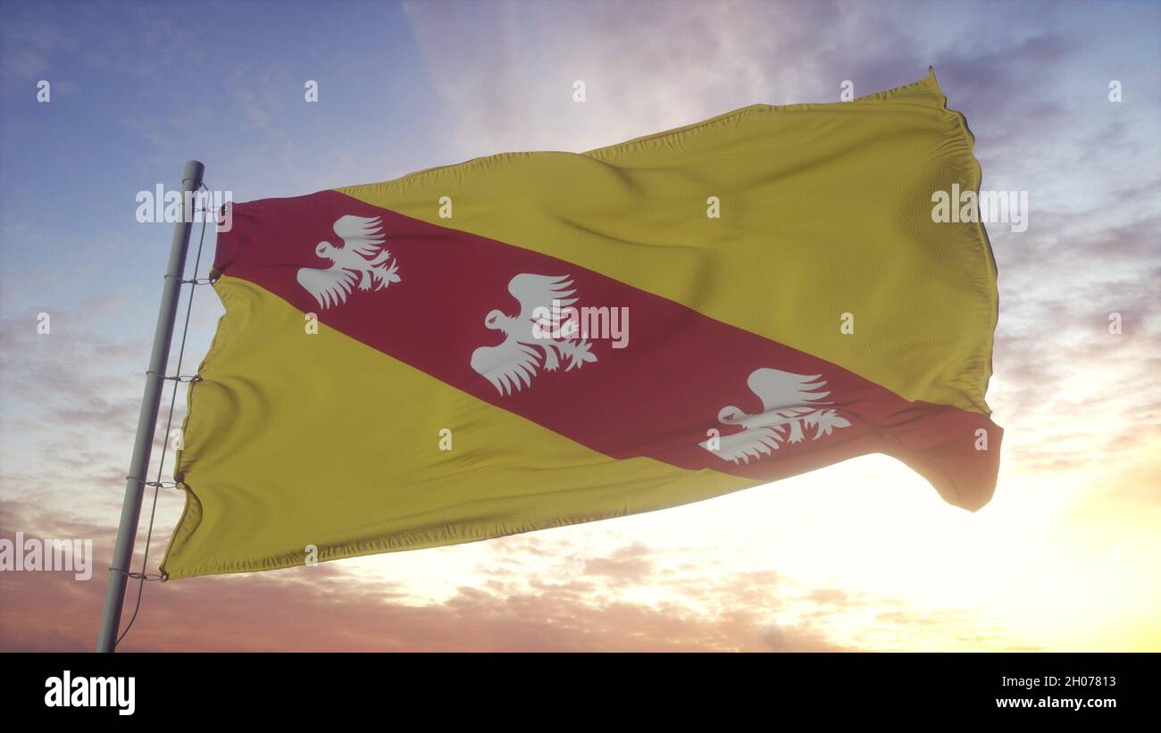 Lorraine flag, France, waving in the wind, sky and sun background. 3d rendering Stock Photo - Alamy