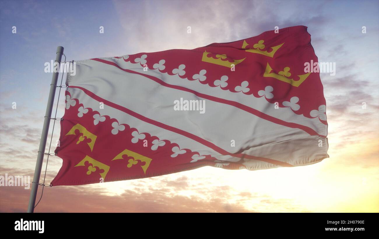Alsace flag, France, waving in the wind, sky and sun background. 3d ...