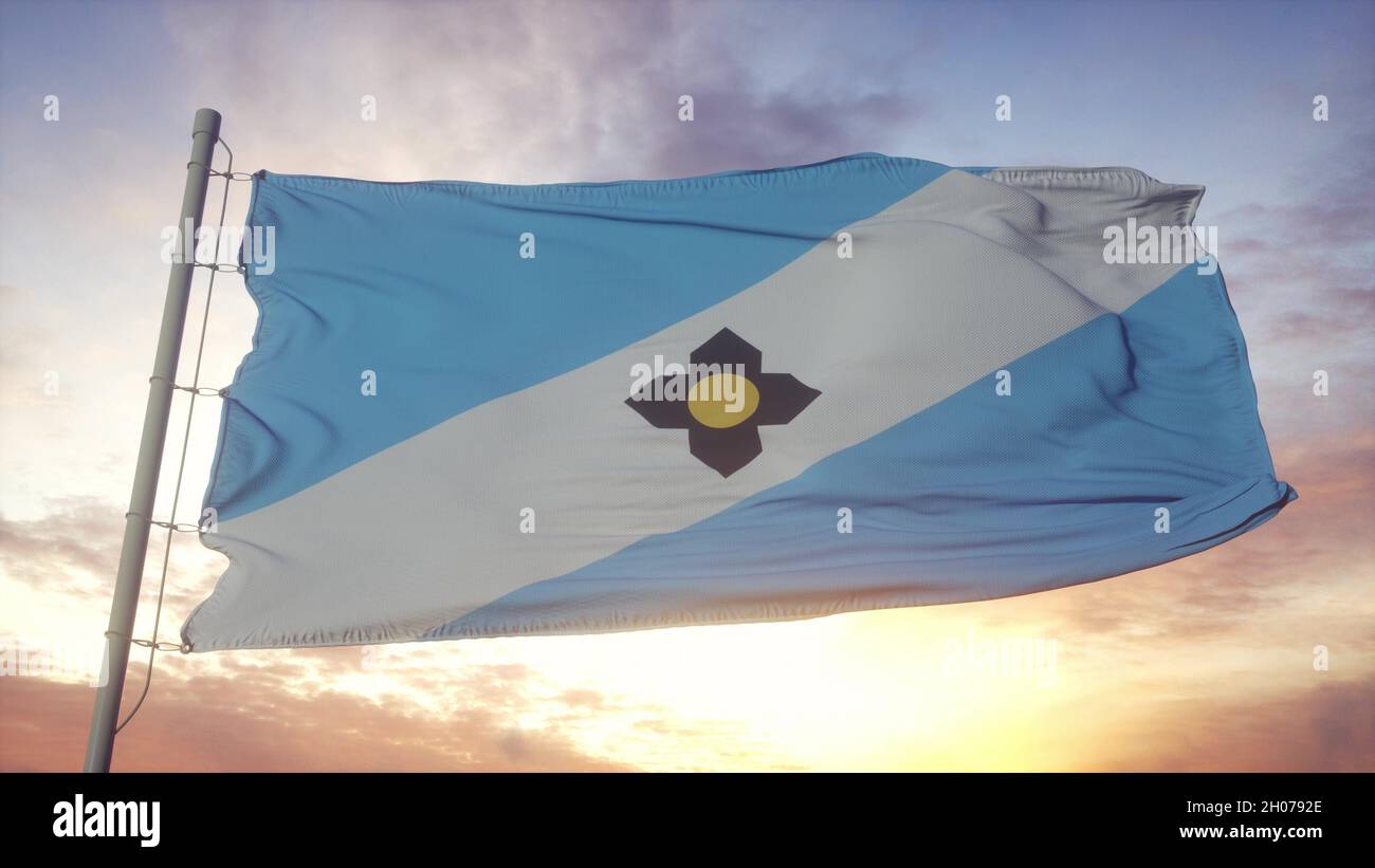 Madisonian flag hi-res stock photography and images - Alamy