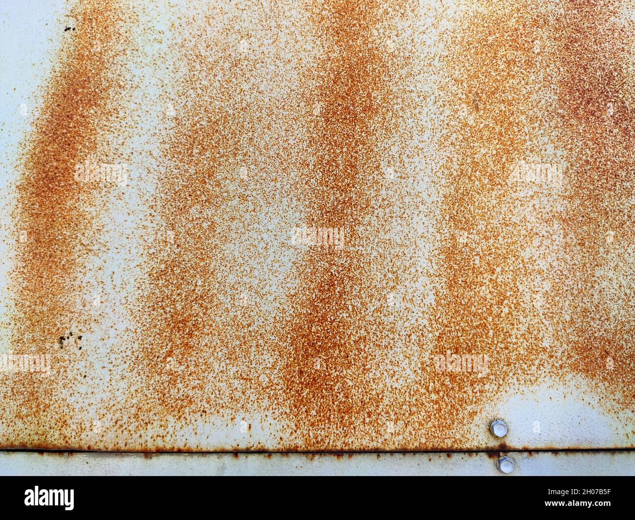 Corroded metal background. Rusted white painted metal wall. Rusty metal ...