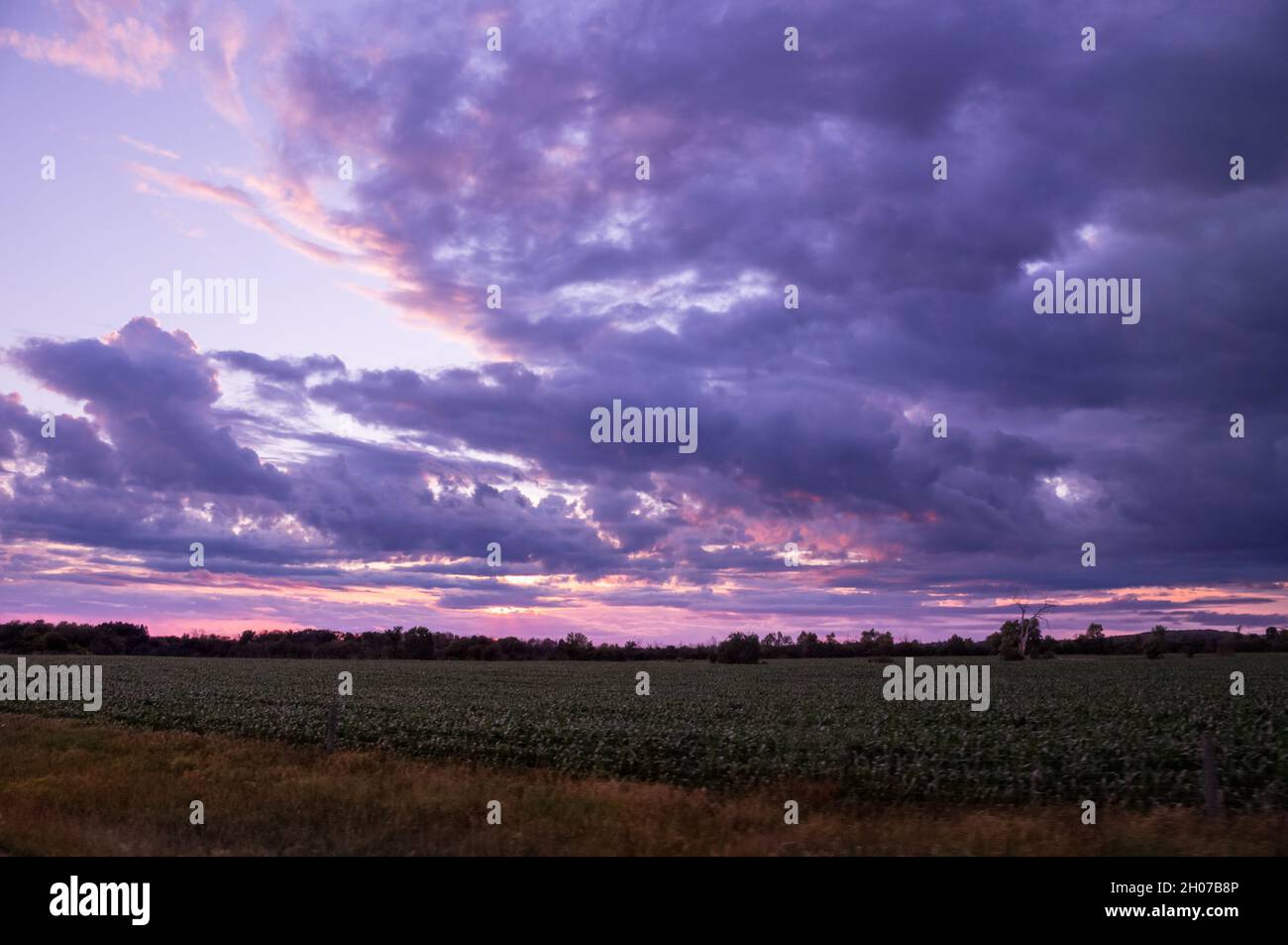 Magnificent sunset skies above a green crops field of a farm land Stock ...