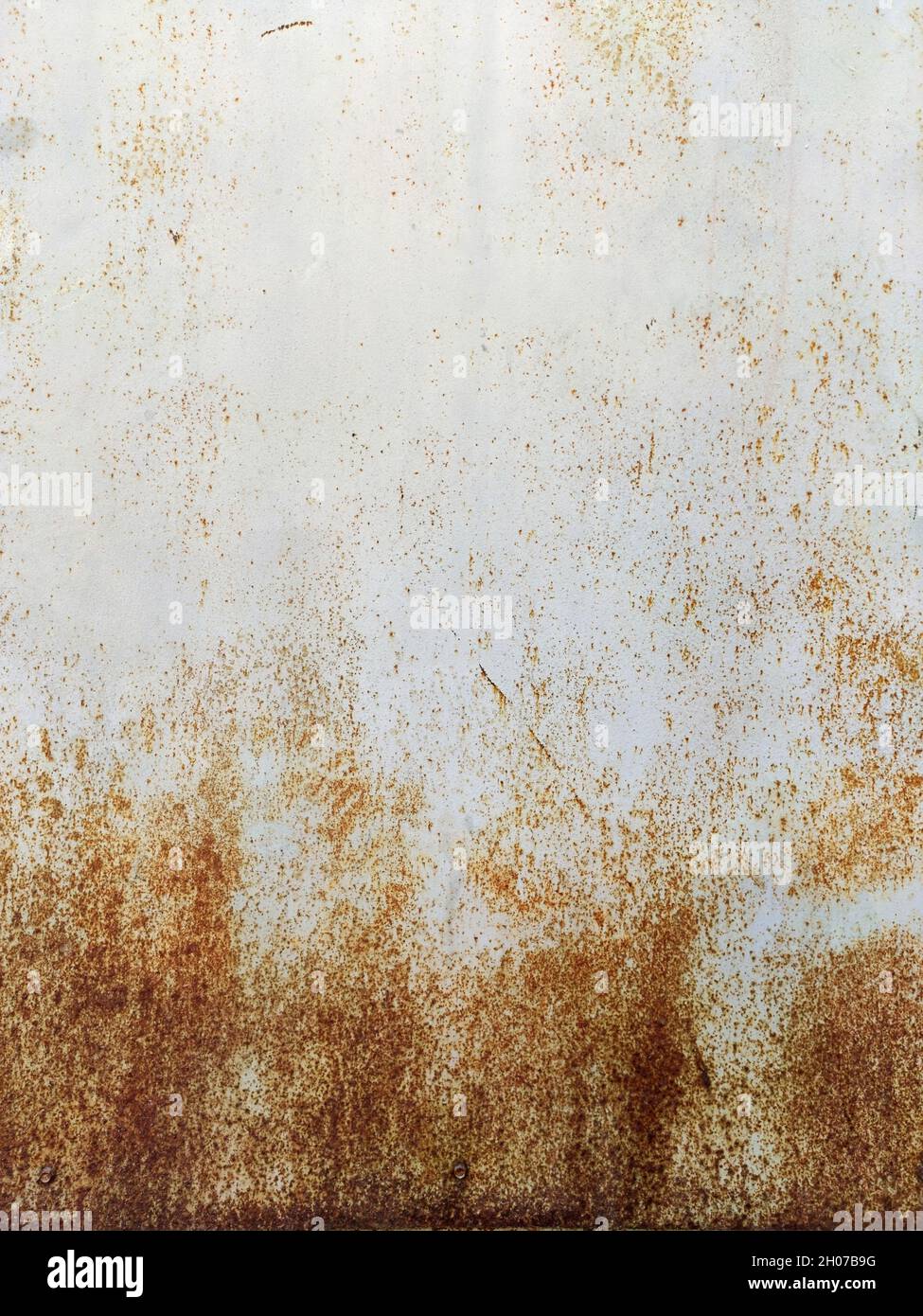Corroded metal background. Rusted white painted metal wall. Rusty metal ...
