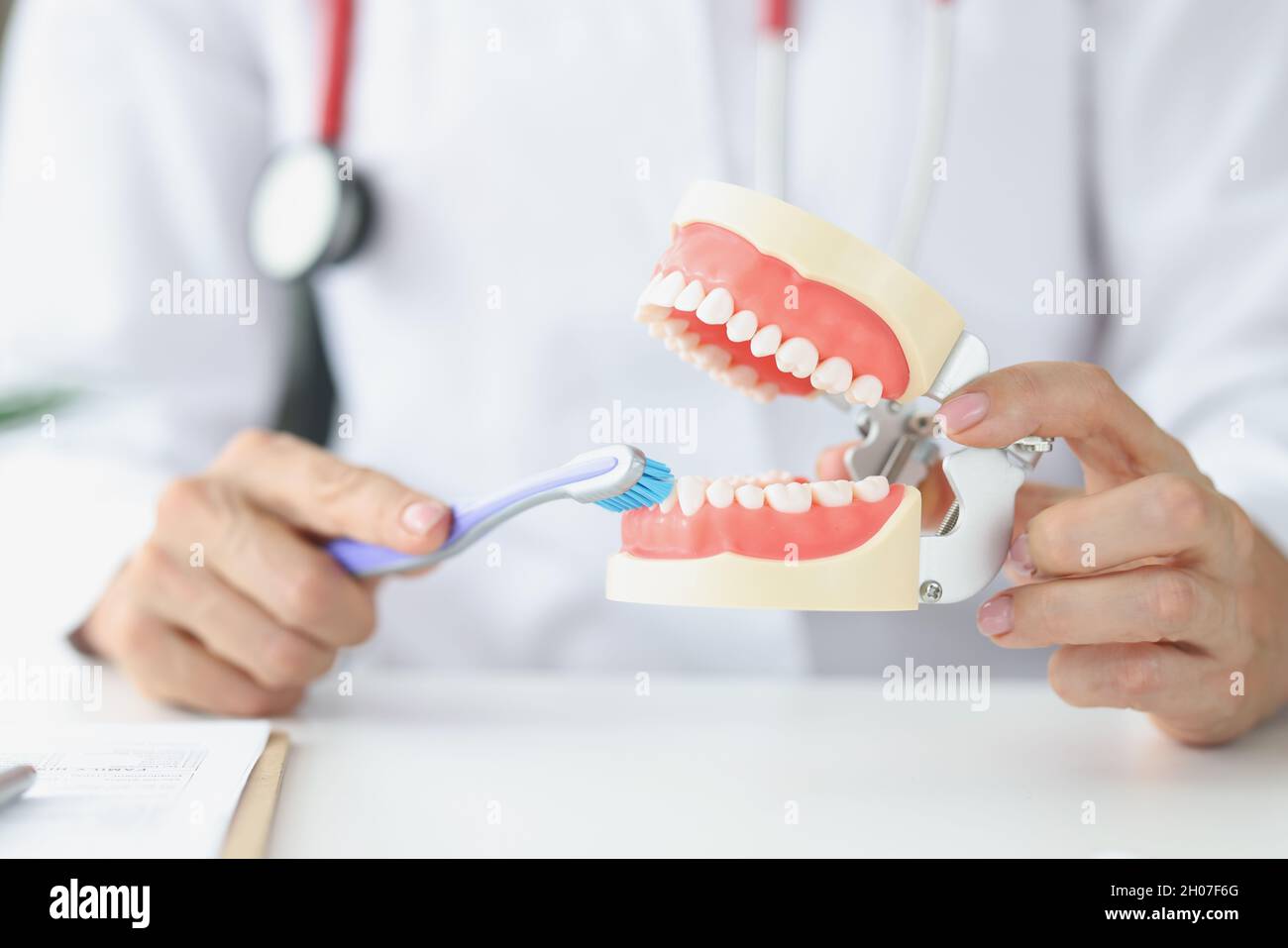Dentist shows clean teeth brush hi-res stock photography and images - Alamy