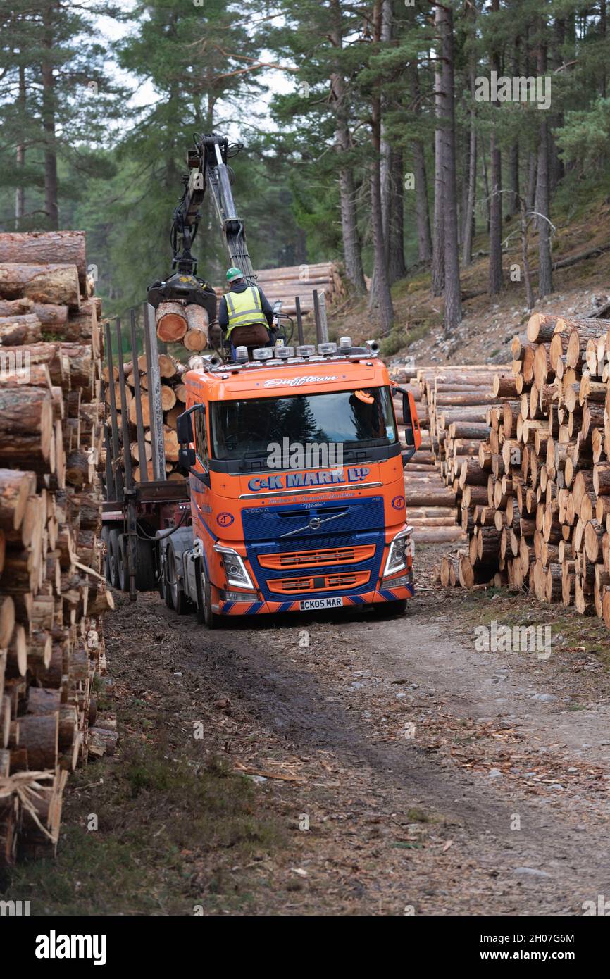 Timber haulier uk hi-res stock photography and images - Alamy