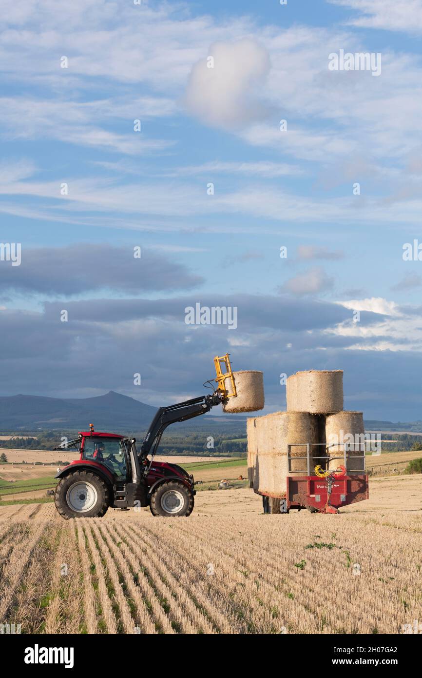 Round bale transport hi-res stock photography and images - Alamy