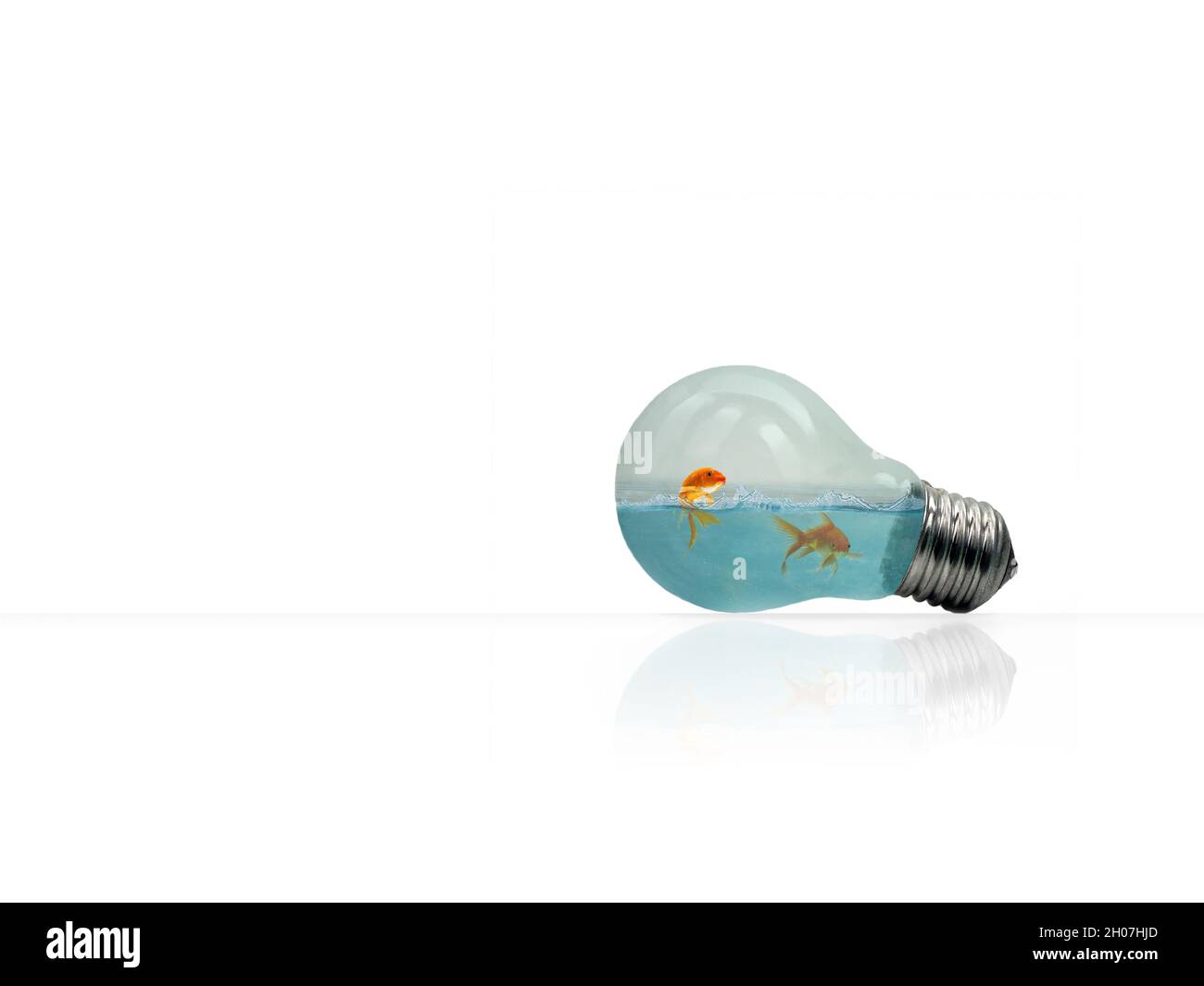 Fish in a light bulb Stock Photo - Alamy
