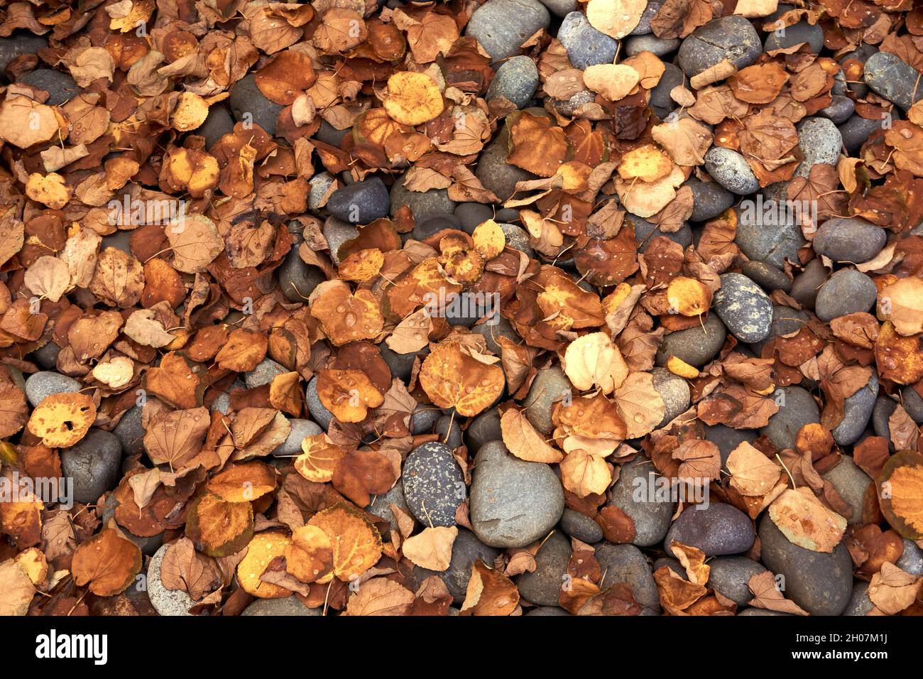 Grey river hi-res stock photography and images - Alamy