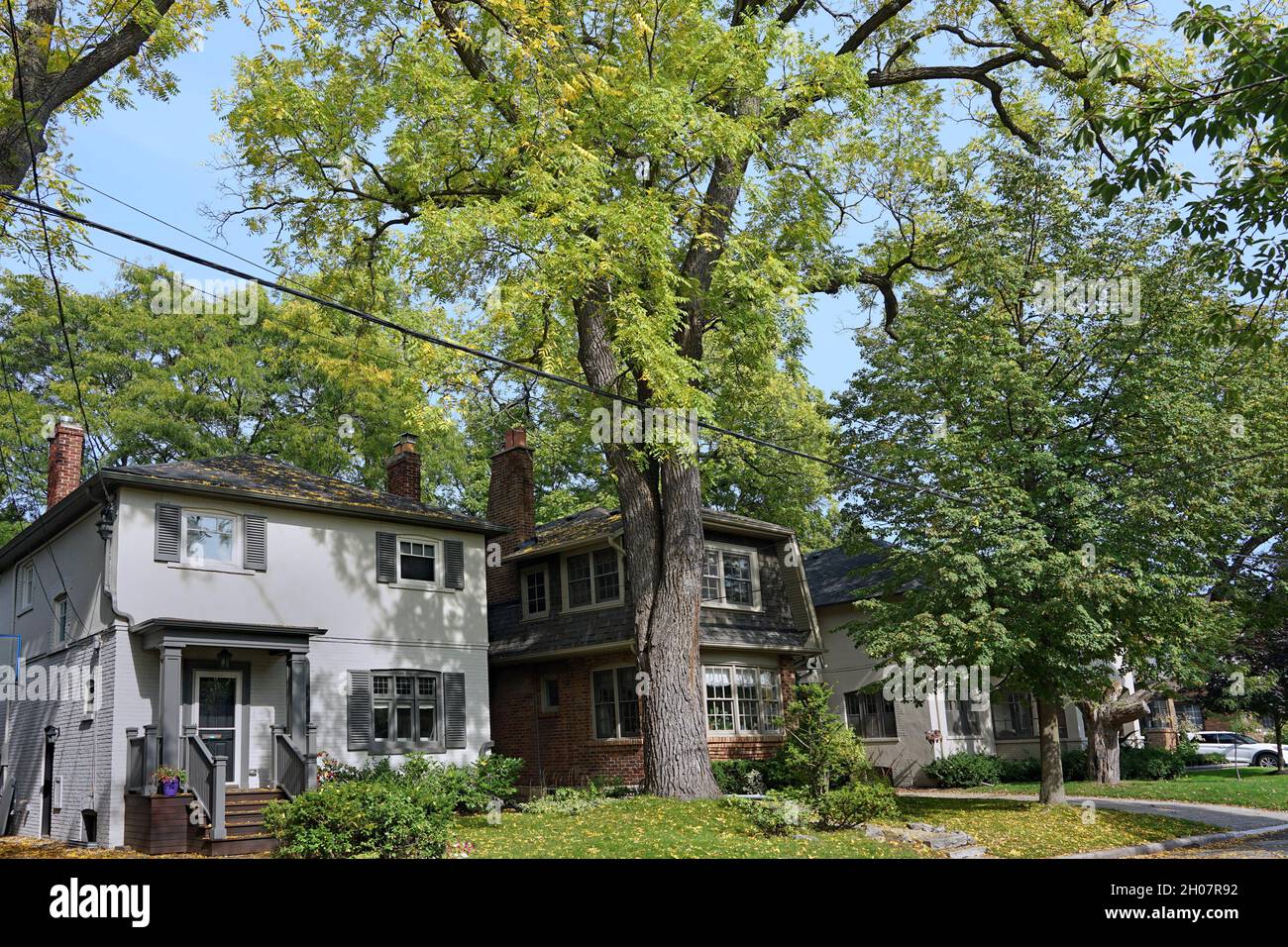 Street of traditional detached houses with tall mature trees Stock ...