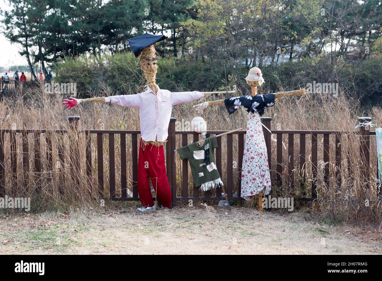 Family of scarecrows hi-res stock photography and images - Alamy
