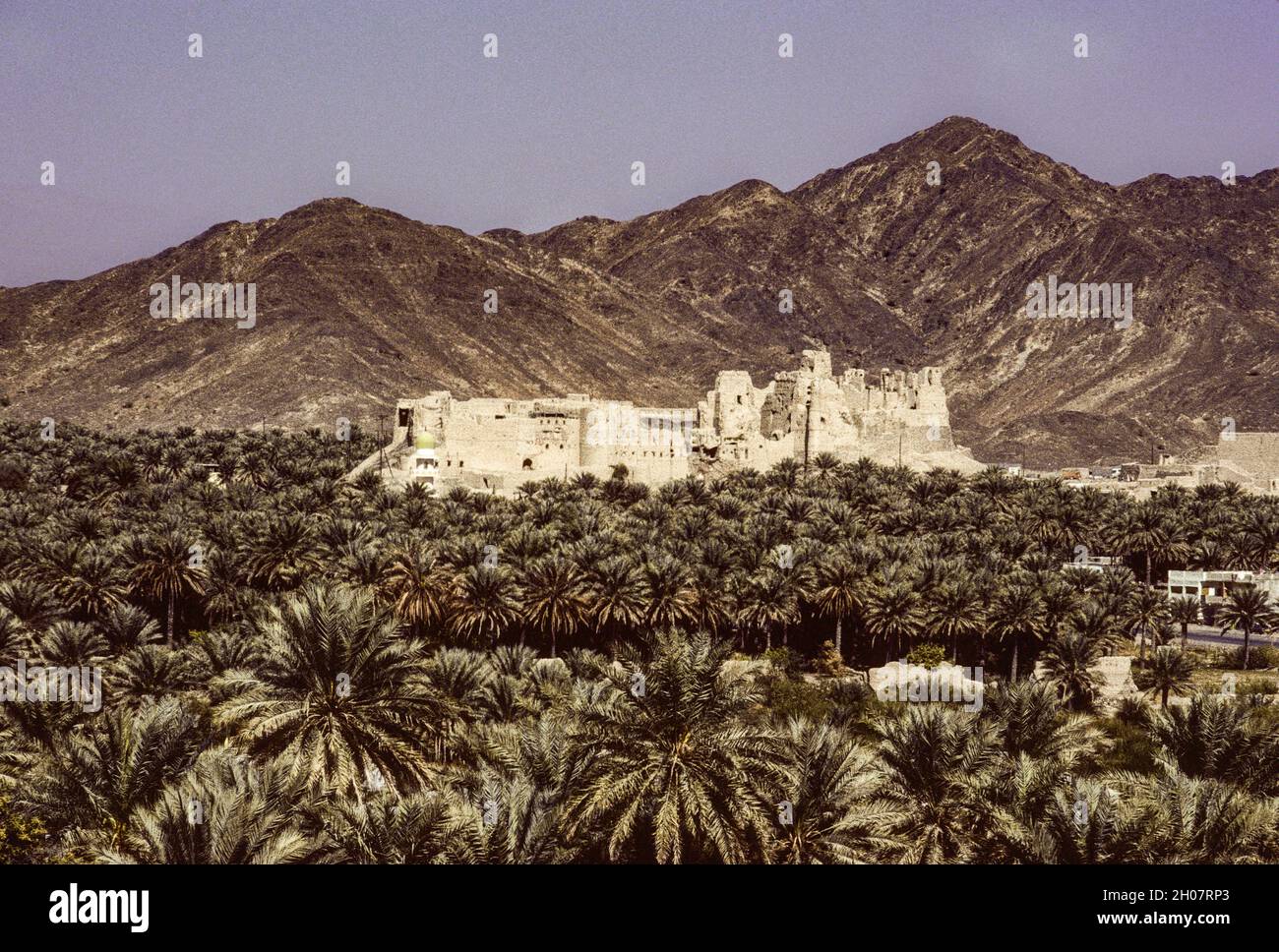 Bahla, Oman. 1984 Date Palm Oasis and Ruins of Fort before Restoration ...
