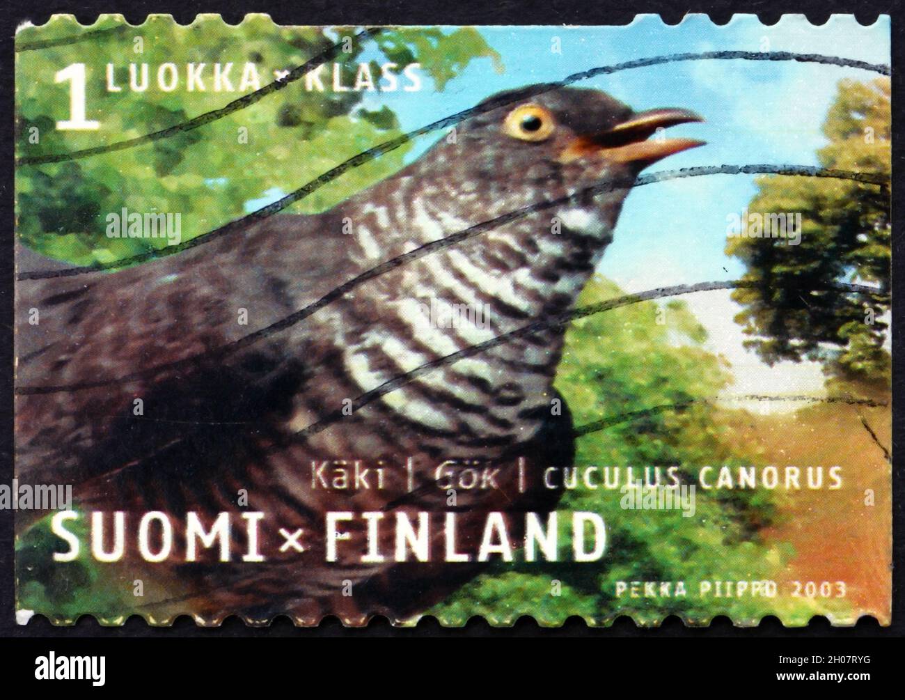 FINLAND - CIRCA 2003: a stamp printed in Finland shows Common Cuckoo ...