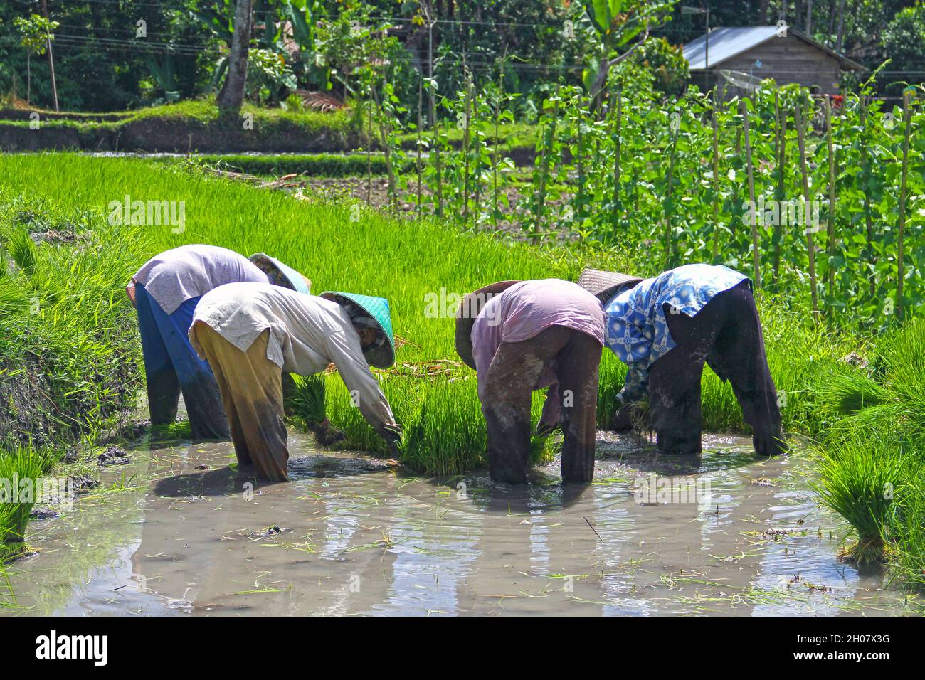 Muddy women hi-res stock photography and images - Alamy
