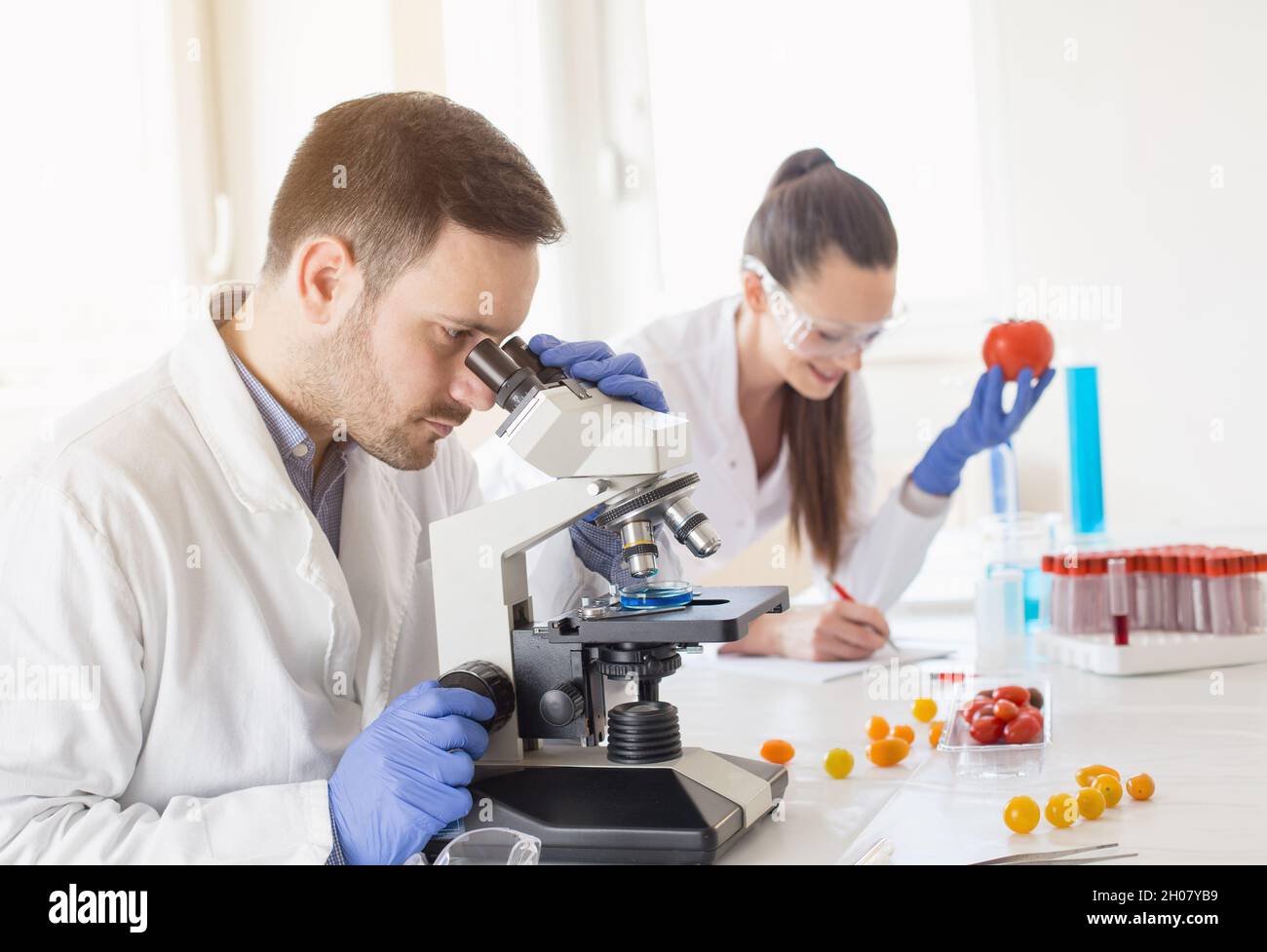 Two scientists doing research with vegetables in lab with microscope ...