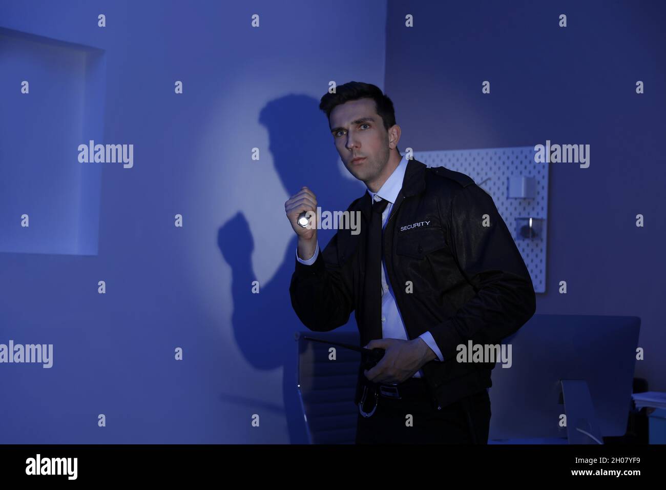 Officer using flashlight hi-res stock photography and images - Alamy