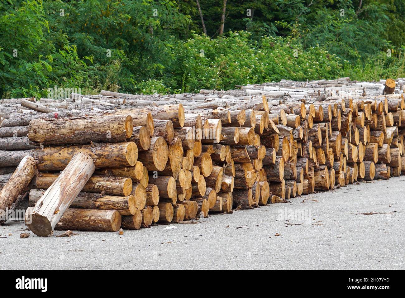 Stacked fire wood hi-res stock photography and images - Alamy
